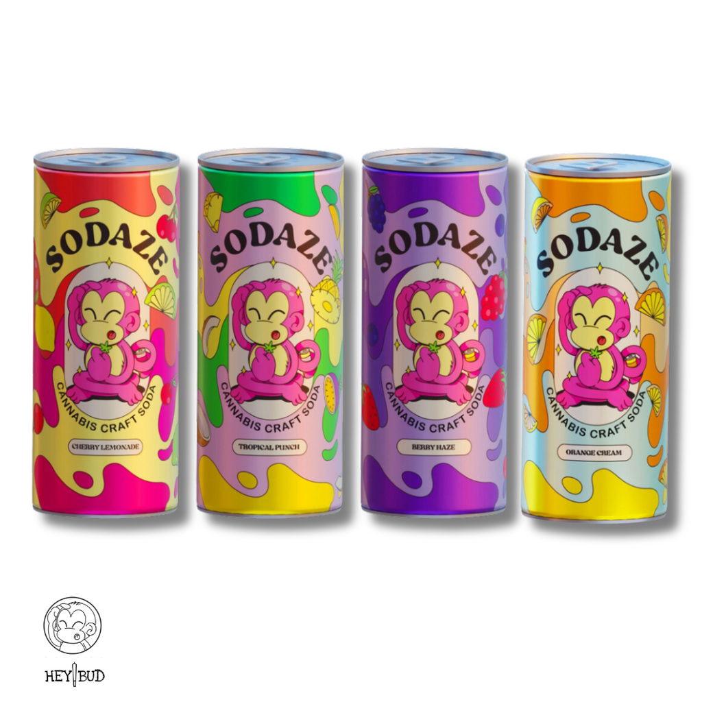 Sodaze Craft Soda - 30mg – Hey Bud SA